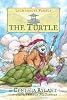 The Turtle (4) (Lighthouse Family) in Kuwait | Whizz
