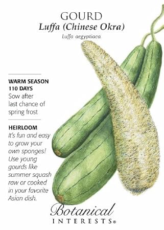 Luffa, Where to buy?