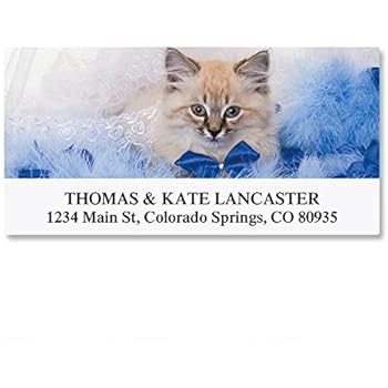 Amazon.com : Cat Address Label - Customized Return Address Label - 90 ...