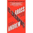 Amazon.com: 15 Seconds: A Novel: 9780061656033: Gross, Andrew: Books