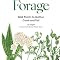 Forage: Wild plants to gather and eat: Knight, Liz, Pedder-Smith ...