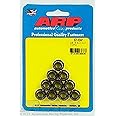 Amazon.com: ARP 301-8341 3/8"-16 12-Point Nut - 10 Piece : Automotive
