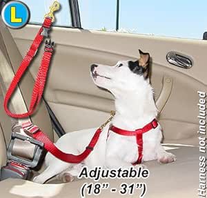 Amazon.com : Seat Belt Tethers - Large - Different style! - Car Tether ...