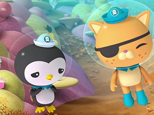 Amazon.co.uk: Watch Octonauts : Ready for Action - Season 1 | Prime Video