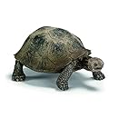 Amazon.com: Schleich Giant Turtle: Toys & Games