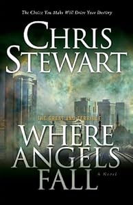 Where Angels Fall: The Great and... book by Chris Stewart