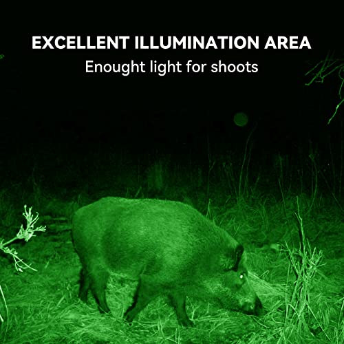 Green Hog Hunting Lights Hog Light For Rifle Hog Light, Solar Green