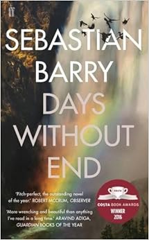 Days Without End: Amazon.co.uk: Sebastian Barry: 9780571277049: Books