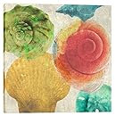 Amazon.com: Epic Graffiti"Luminous Seashells 4" by Elena Ray Giclee ...