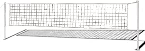 Amazon.com: Dunn-Rite Products ProVolly Retrofit Pool Volleyball Kit ...