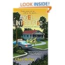 Amazon.com: Angel Interrupted (A Dead Detective Mystery) (9780425233146 ...