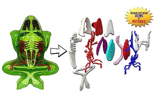 Dissect-It Plus Upgraded Frog Dissection Toy Kit, Realistic Lab ...