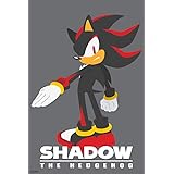 Amazon.com: Pyramid America Sonic The Hedgehog Character Sega Video ...