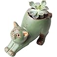 Amazon.com: 123Arts Ceramic Succulent Flower Pot Cat Shape Succulent ...