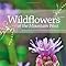 Wildflowers of the Mountain West: Richard M. Anderson, Jay Dee Gunnell ...