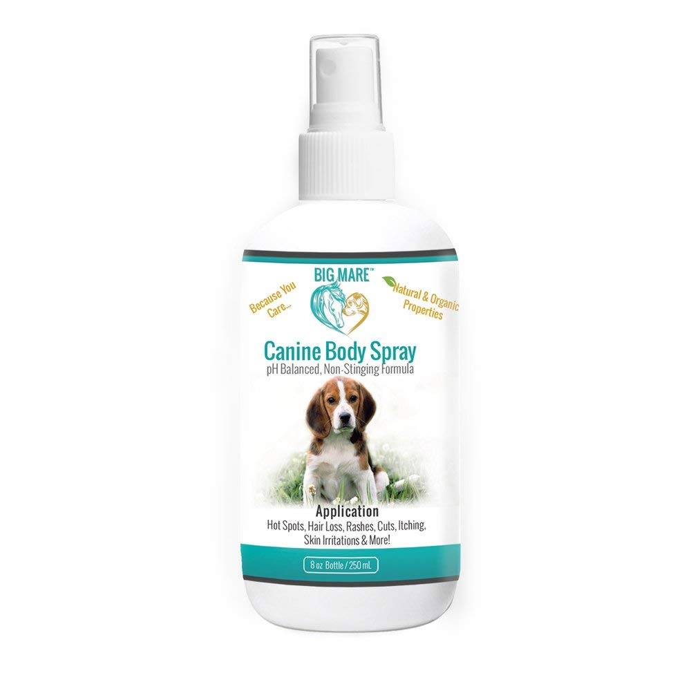 Big Mare Dog Body Spray | Clinically Proven Effective On Hotspots ...
