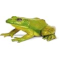 Amazon.com: Safari Ltd. American Bullfrog Figurine - Realistic 4.75 ...