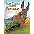 When Turtle Grew Feathers: A Tale from the Choctaw Nation: Tim Tingle ...