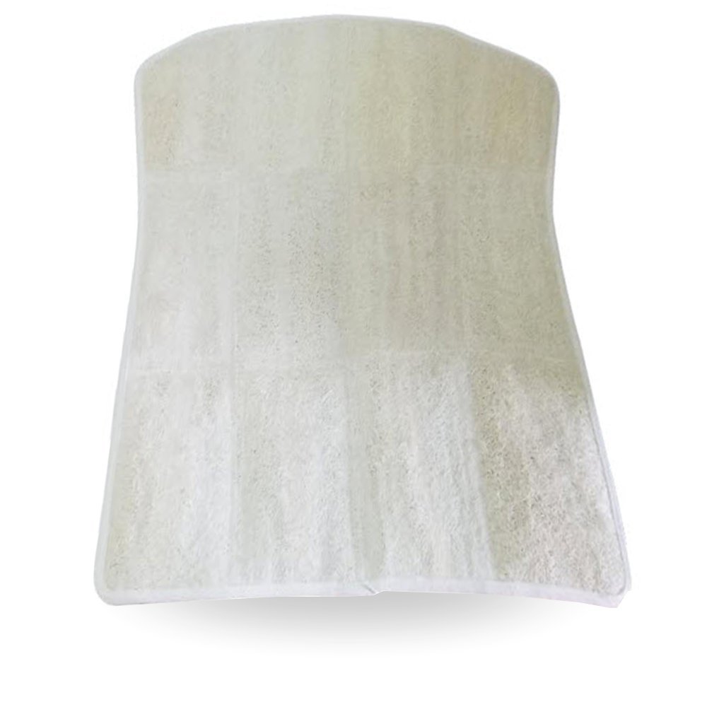 Amazon.com: Luffoliate – Exfoliating Hands-Free Shower Loofah Back ...