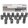Amazon.com: Edelbrock 5767 Valve Springs - Set of 16 : Automotive