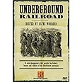 Amazon.com: Underground Railroad (History Channel) [DVD] : Alfre ...