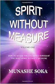 Spirit Without Measure: How to access the unlimited power of the Holy ...