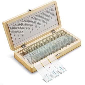 50pcs Prepared Premade Microscope Slides Set for Basic Biological ...