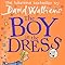 The Boy in the Dress: Amazon.co.uk: David Walliams, Quentin Blake ...