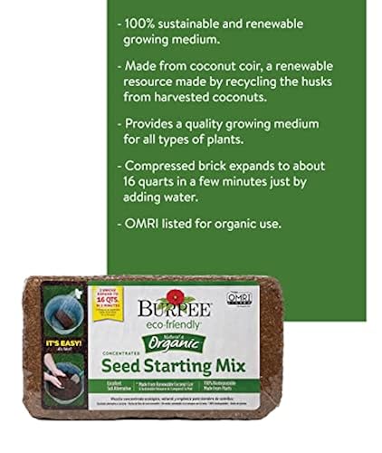 Burpee Seed Starter Kit Burpee SuperSeed Seed Starting Tray 36 Cell