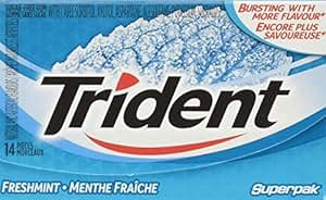 Trident Trident Slab Freshmint, 12 Count: Amazon.ca: Grocery