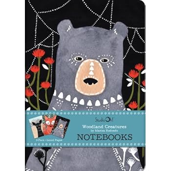 Amazon.com : Studio Oh! 3-Pack Notebooks in Coordinating Designs ...