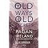 Pagan Celtic Ireland: The Enigma of the Irish Iron Age: Barry Raftery ...