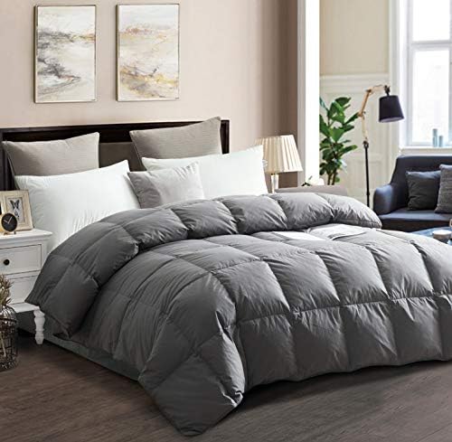 drtoor Luxurious Down Comforter, All Seasons Twin Duvet Insert, 100% ...