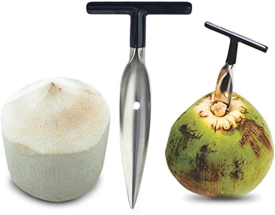 Amazon.com: Coconut Opener Tool-Stainless Steel Coconut Opener for ...