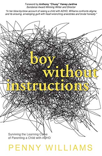 Boy Without Instructions: Surviving the Learning Curve of Parenting a ...