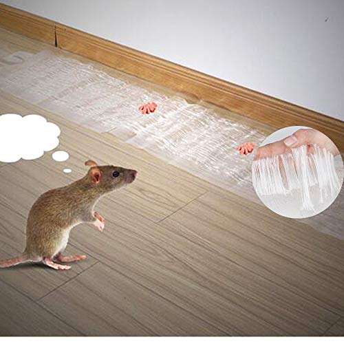 Buy Sam4shine 6 Pack Rat Glue Traps Strong Adhesive Snake Traps Extra Large Mouse Glue Traps 