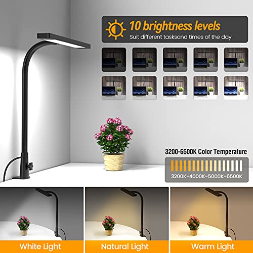 SKYLEO LED Desk Lamp with Clip - Eye Protection Desk Lamps for Home ...