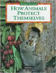 How Animals Protect Themselves (Animal Survival): Barre, Michel ...