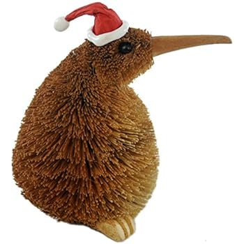 Amazon.com: New Zealand Maori Brush & Wood Kiwi Bird Christmas Ornament ...