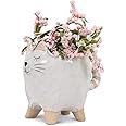 Amazon.com : Abbott Collection Ceramic Cat with Tail Planter - Small (4 ...