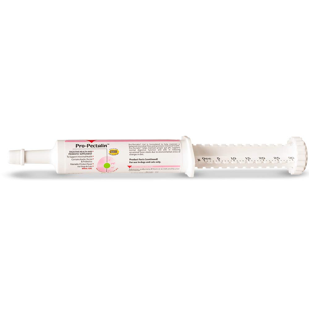 Mua Vetoquinol Pro-Pectalin Oral Paste for Dogs & Cats – Chicken Flavor ...