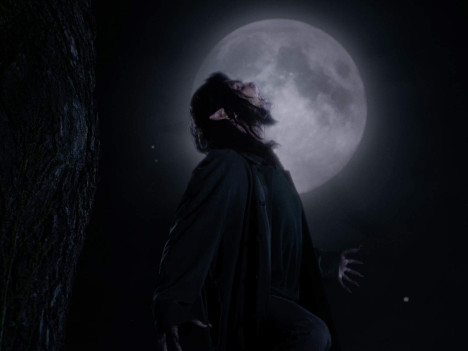 Watch R.L. Stine's The Haunting Hour | Prime Video