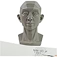 Amazon.com: Generic Head Model for Artists, Planar Head Model for ...