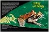 Amphibians: The World of Frogs, Toads, Salamanders and Newts in Oman ...