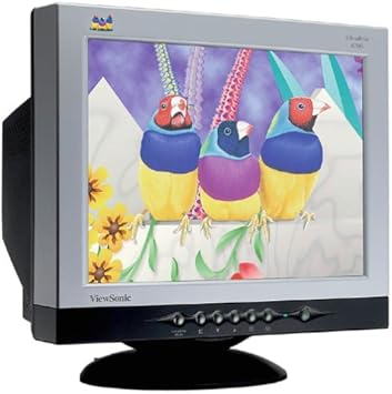 Amazon.com: ViewSonic A70f+ 17" CRT Monitor: Computers & Accessories