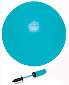 Amazon.com: Bally Total Fitness 55cm Pilates Exercise Ball, Blue ...