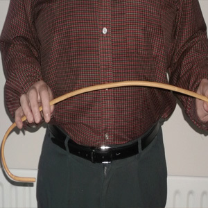 Please Cane Me HARD Sir! (Strict Man-to-Man Discipline) eBook: Maguire ...