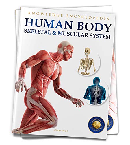 Human Body - Skeletal And Muscular System: Knowledge Encyclopedia For ...