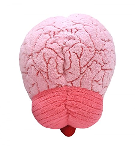 GIANTmicrobes Brain Organ Plush - Adorably Realistic Plush Brain Organ ...