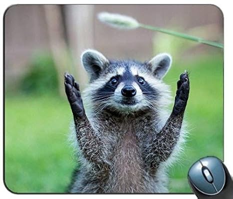 Mausunterlage, Waschbär-Tatzen-Tier Lustige 103443: Amazon.de: Elektronik